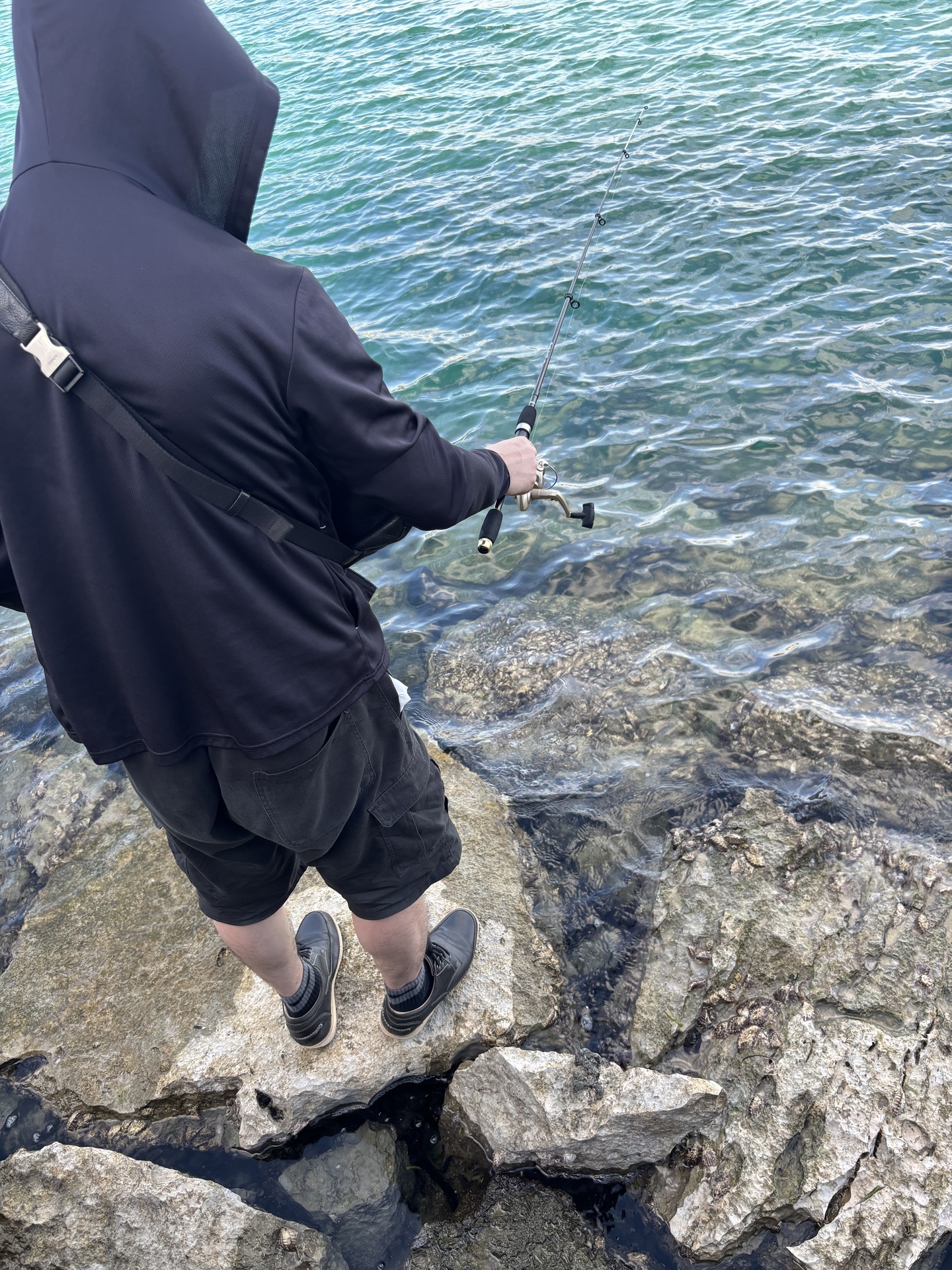 沖縄旅行 出会いいろいろ: 手作り TOY BOX